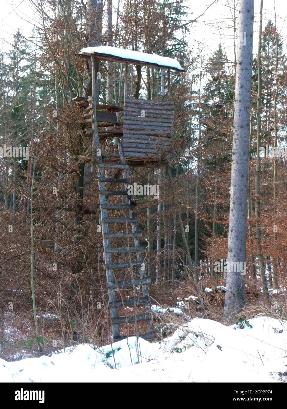 High stand of the forester hi-res stock photography and images - Alamy