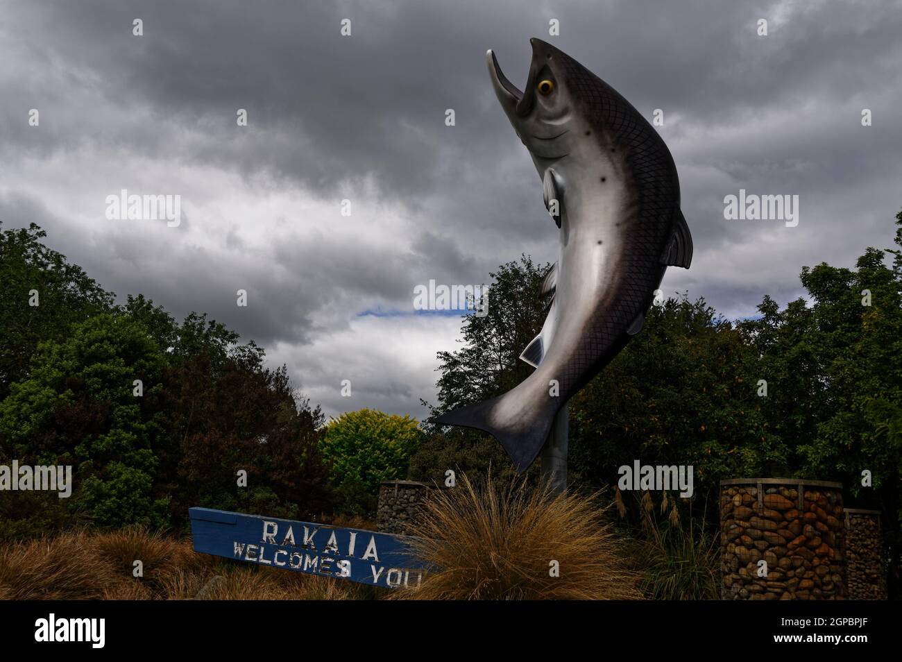 The Rakaia Salmon, a landmark in New Zealand's South Island Stock Photo ...