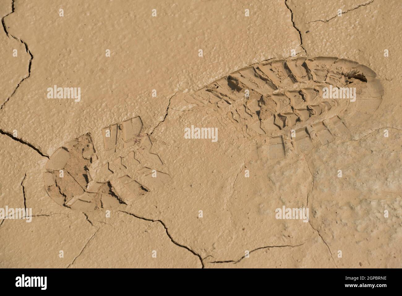 shoe print or footprint on the ground, steps of a person Stock Photo ...