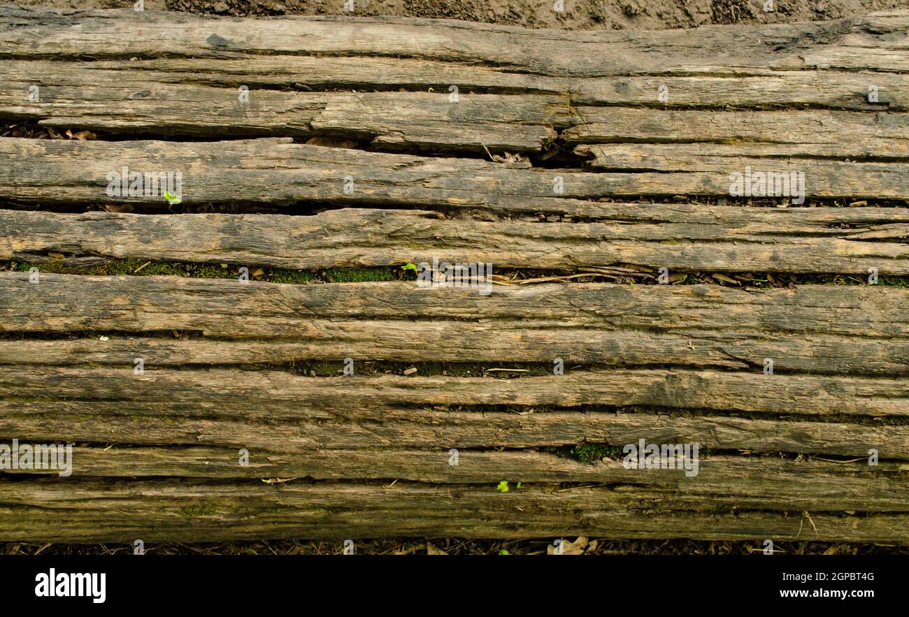 Rotten wood close up and its rotten splinters Stock Photo - Alamy