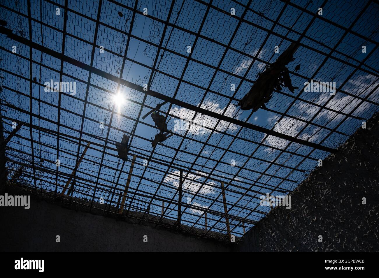 View of the blue sky through the bars of the prison cell Stock Photo ...