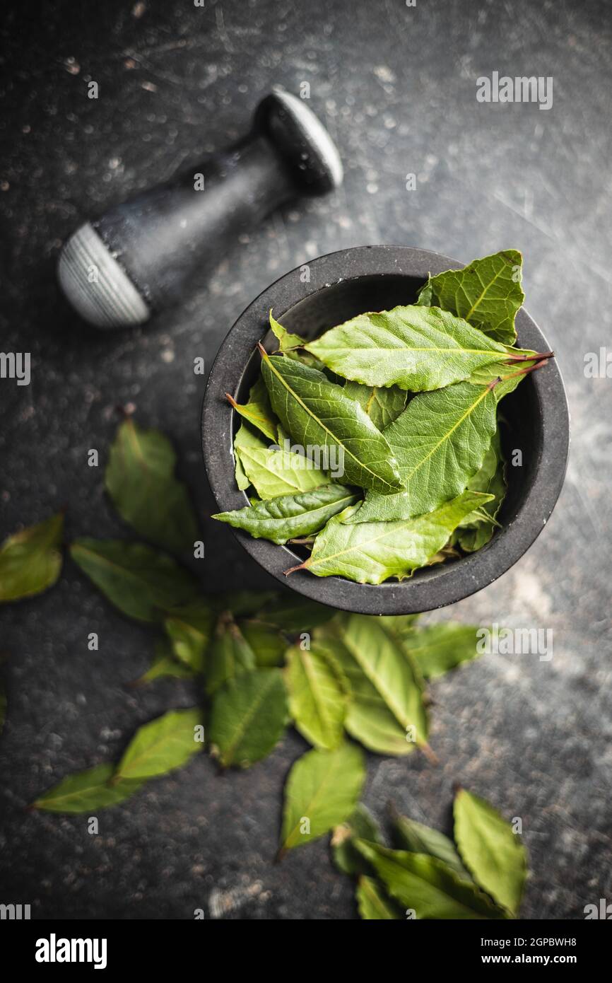 Fresh green bay leaves in a black mortar. Top view Stock Photo - Alamy
