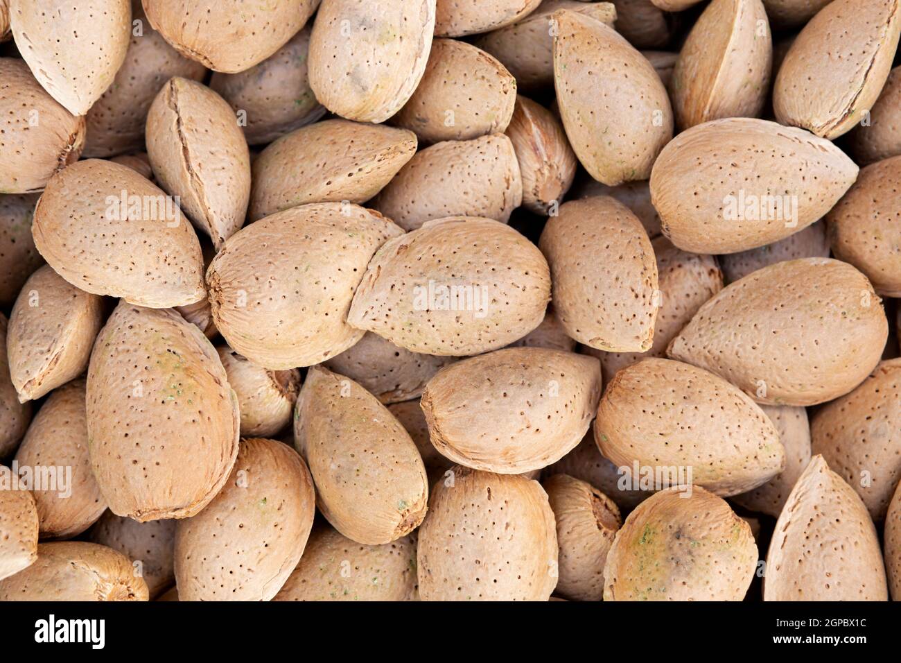 Harvesting almonds hi-res stock photography and images - Alamy