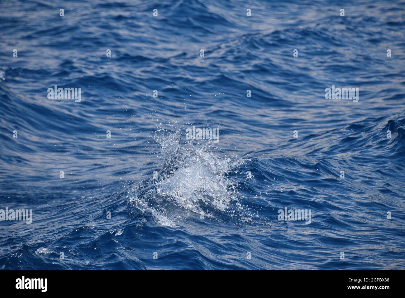 Indigo blue sea water surface with ripples and waves, high angle view ...