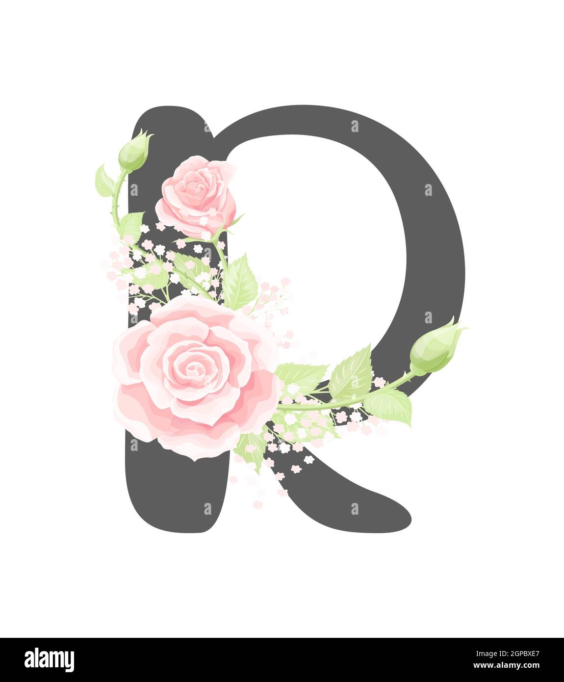 Vector floral alphabet letter R with pink cream rose flowers and green ...