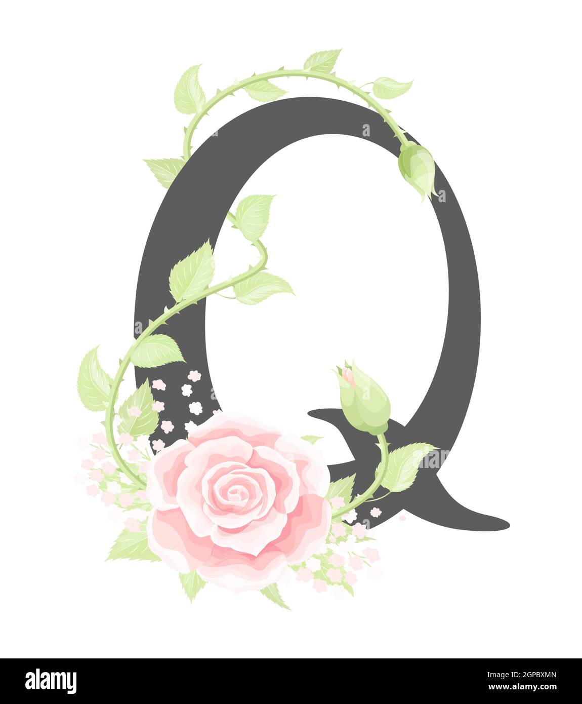 Vector floral alphabet letter Q with pink cream rose flowers and green ...