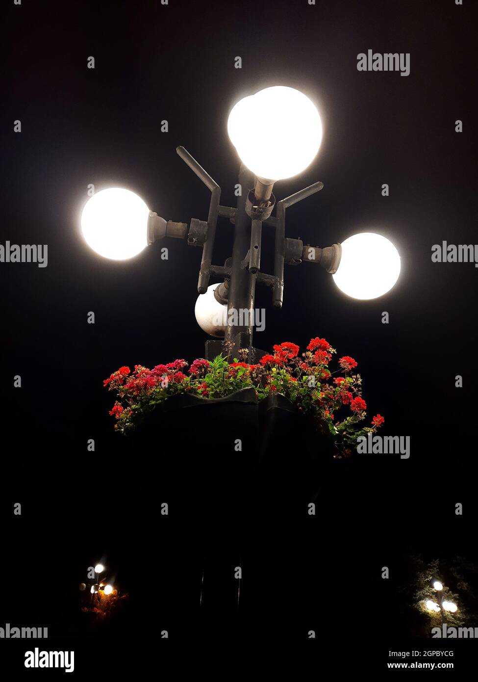 Red flowers placed in plastic pots on poles of burning street lights at ...