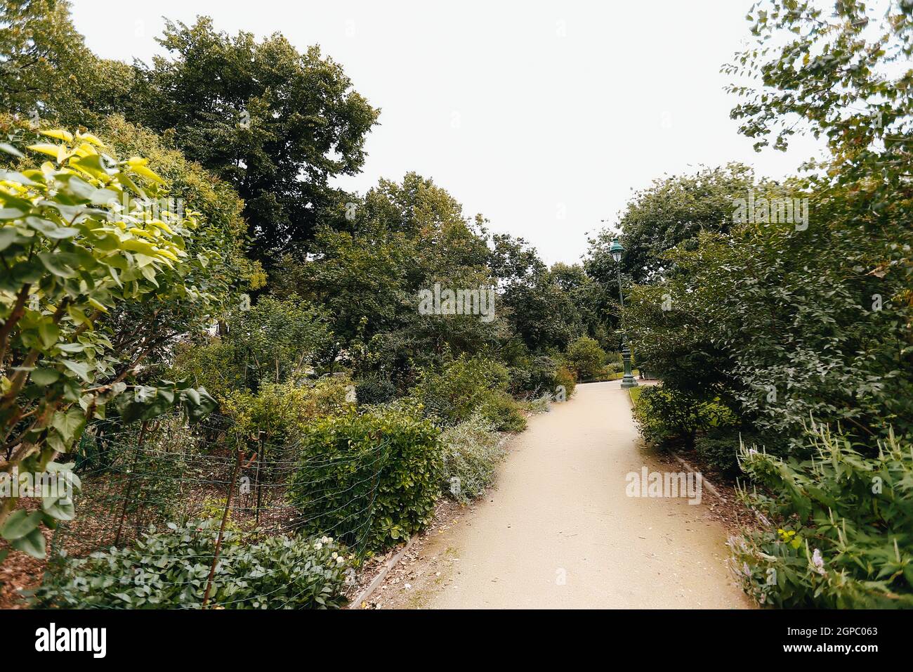 Beautiful park path with trees and grass around. High quality photo ...