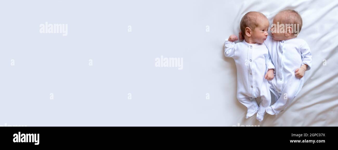 Newborn twins on the bed, in the arms of their parents, on a white ...