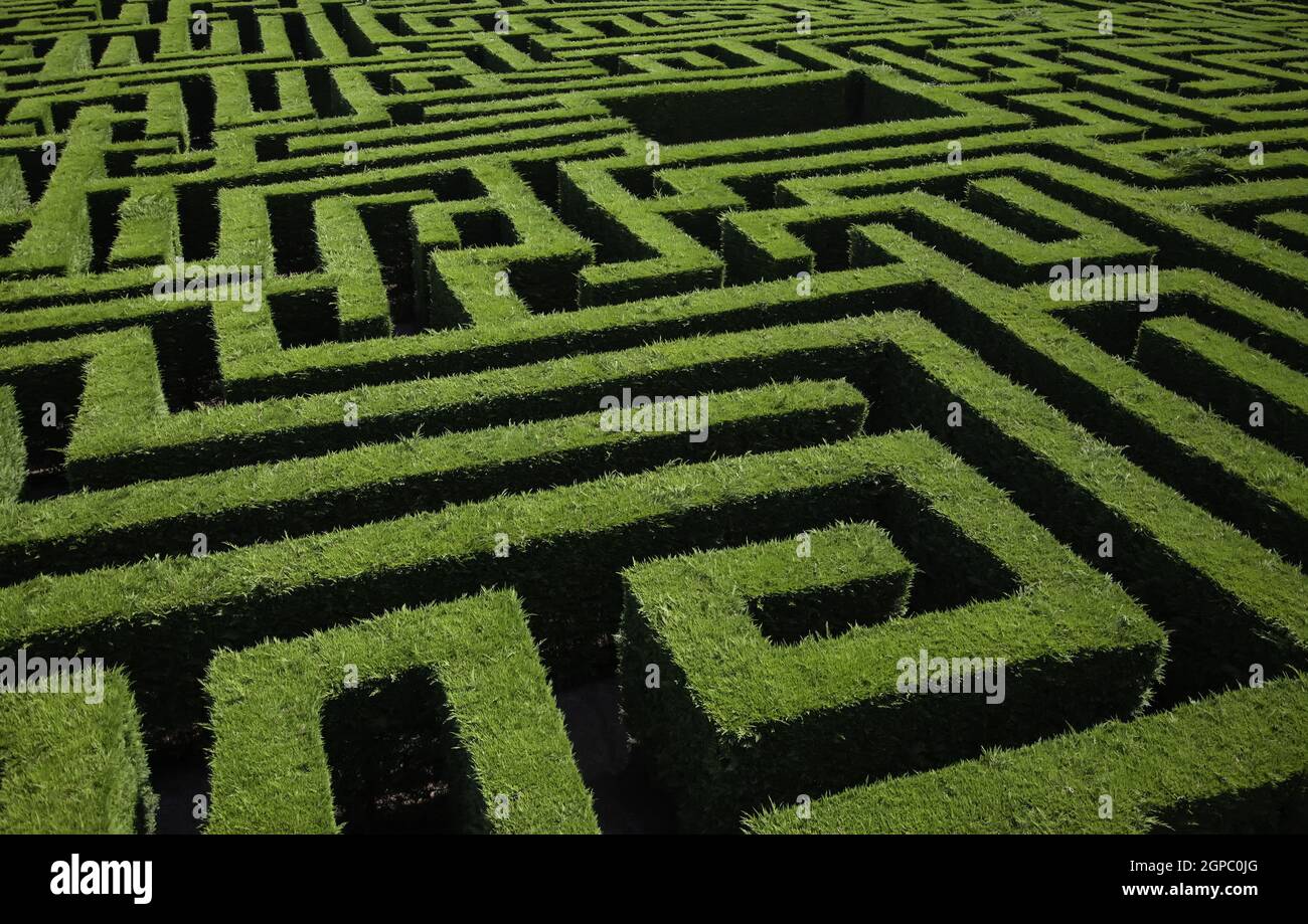 Maze detail in a forest, game and fun Stock Photo - Alamy