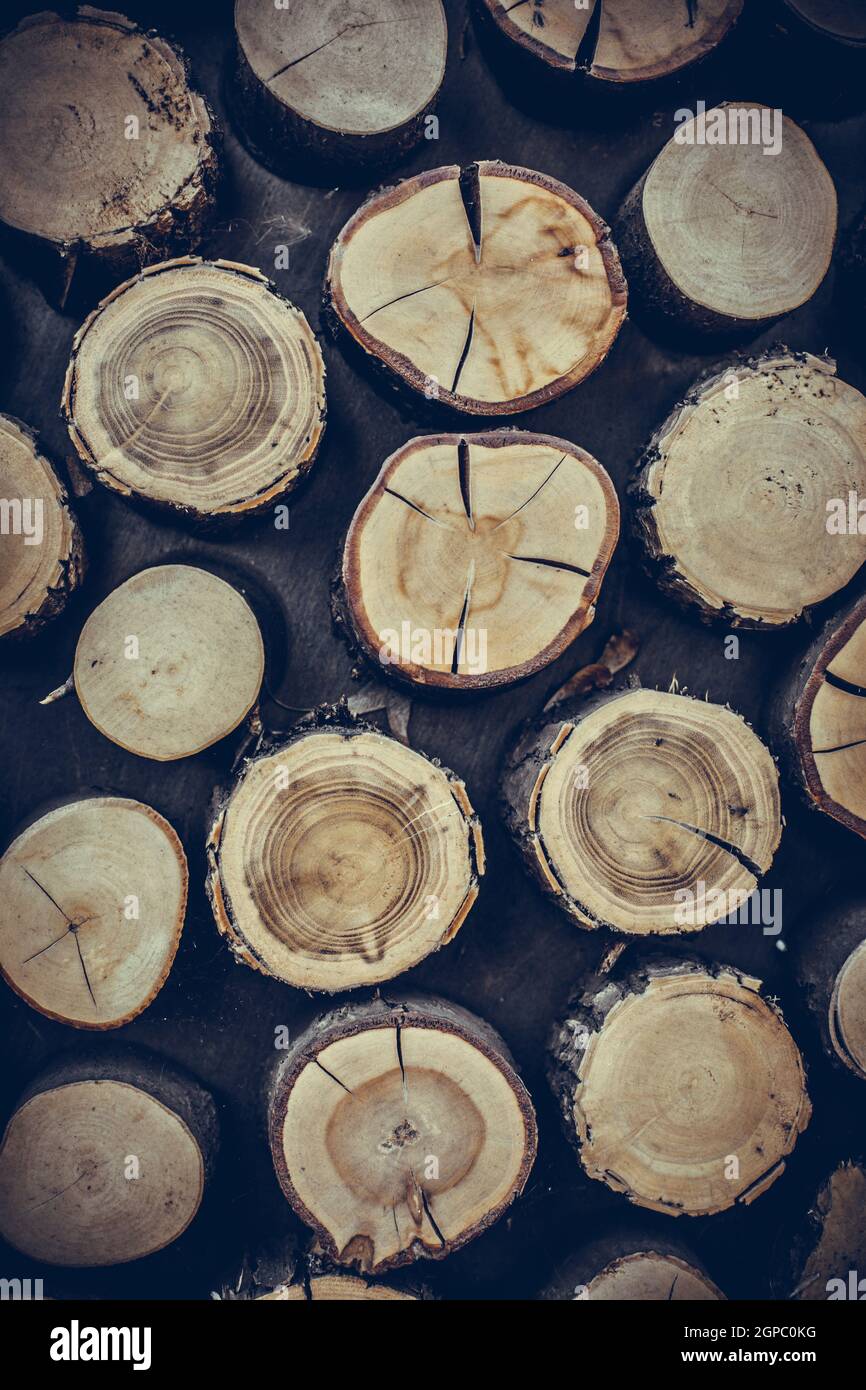Wood logs cut in hi-res stock photography and images - Alamy