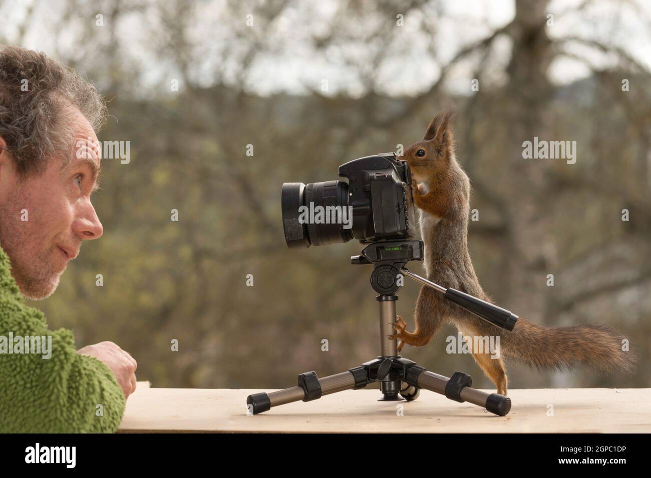 Human eye photos hi-res stock photography and images - Alamy