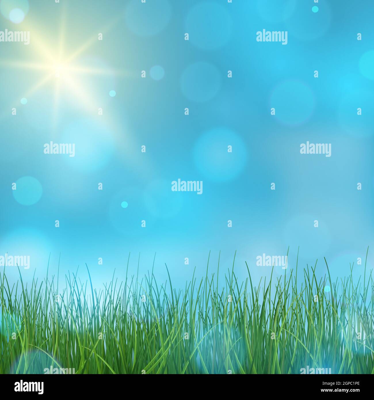 Landscape green grass on a background of blue sky bokeh - Vector ...