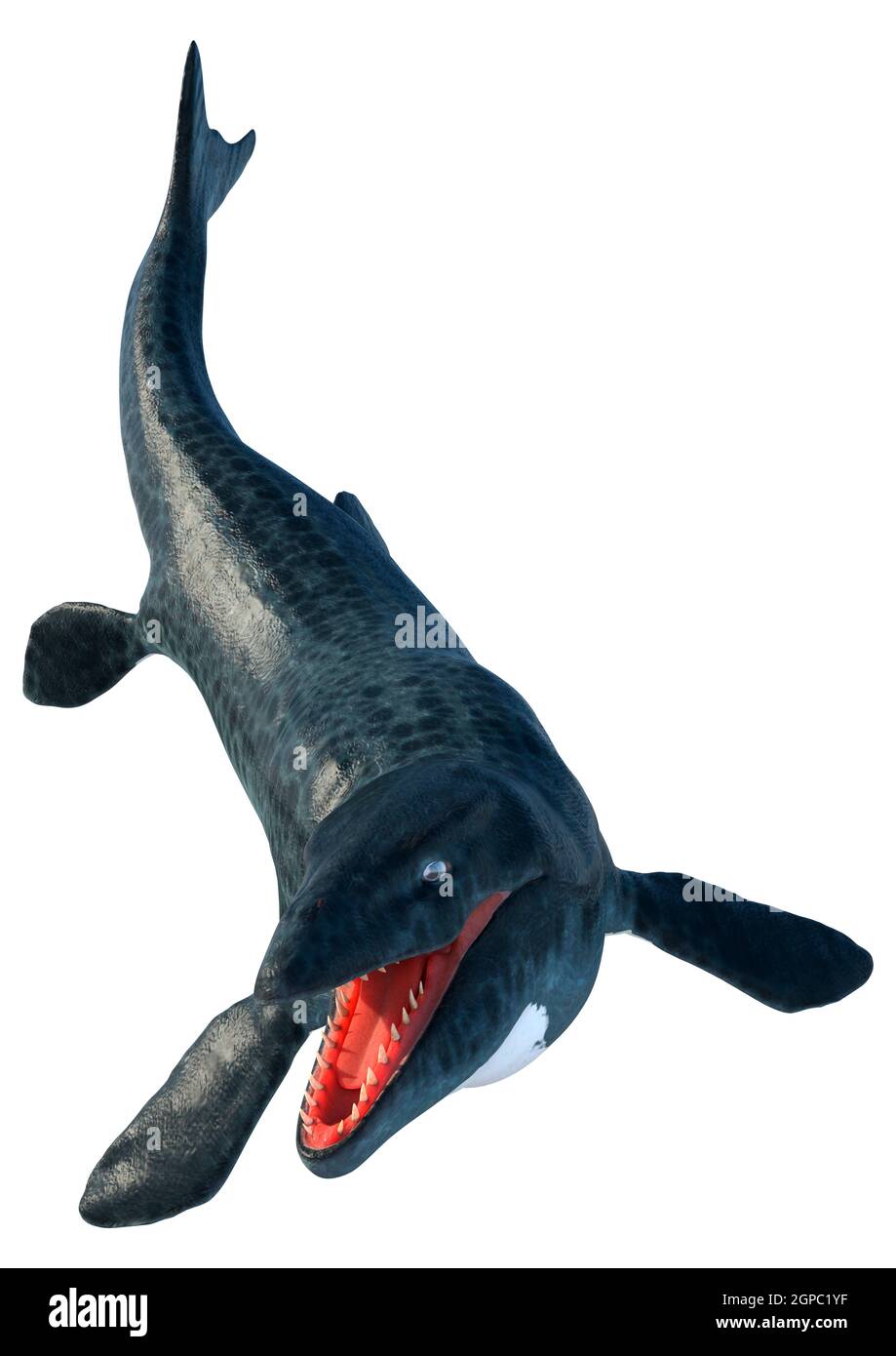 3D rendering of a large marine extinct reptile Mosasaur isolated on ...