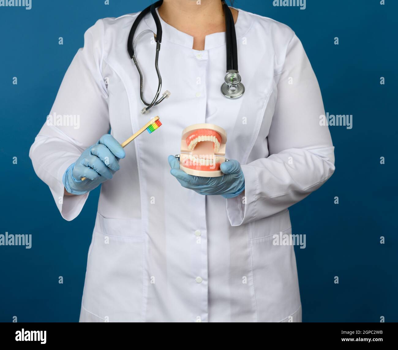 female medic in a white coat, a mask holds a plastic model of a human ...