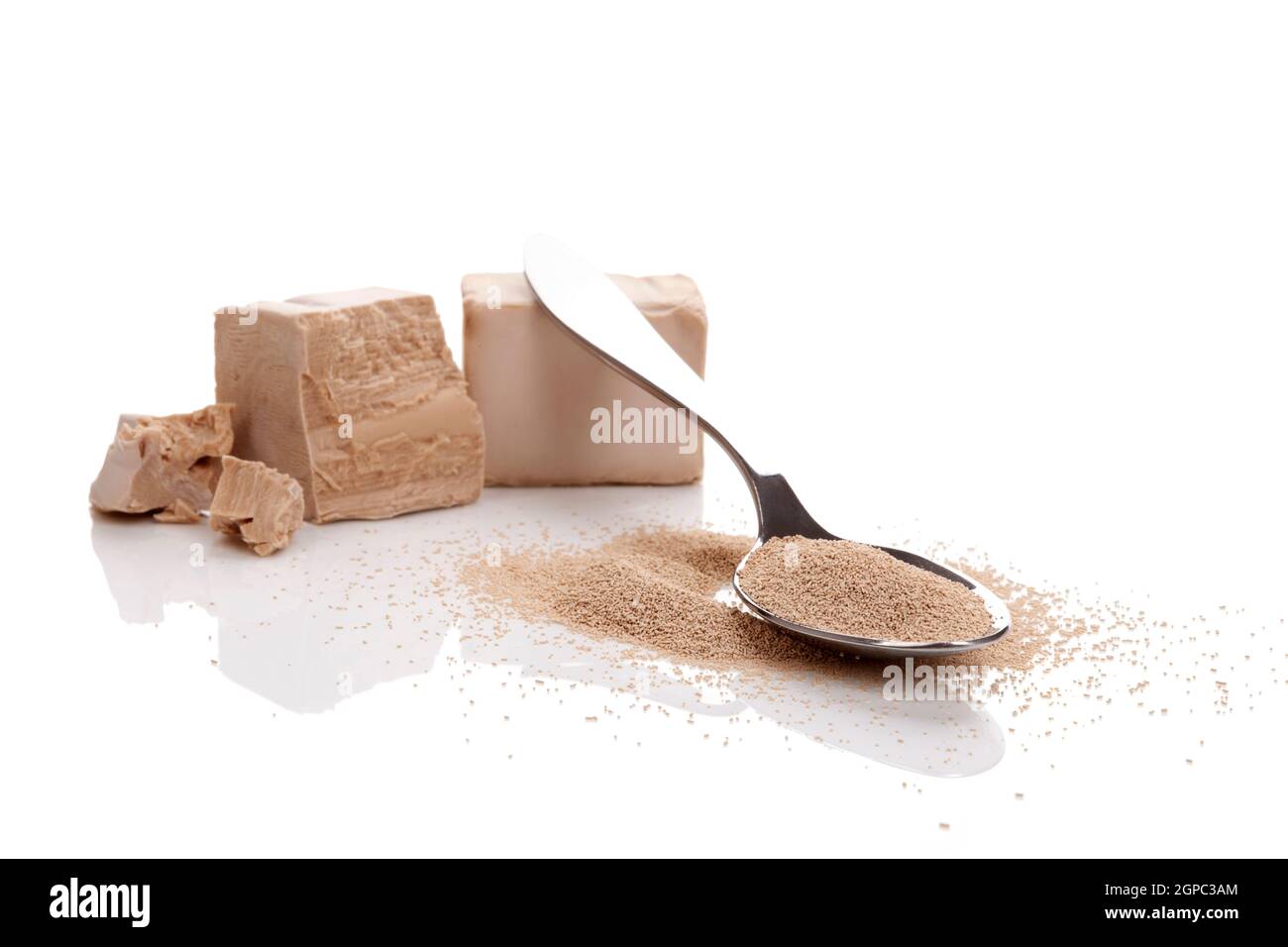 Different types of yeast. Fresh pressed and dry instant yeast on white ...