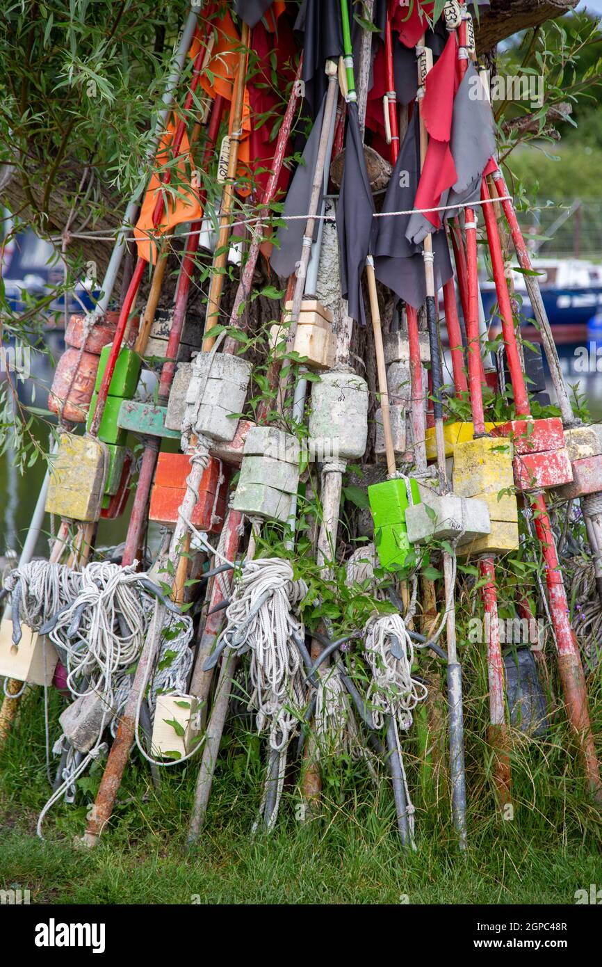 Poles and flags for marking fish traps lean against a tree in the ...