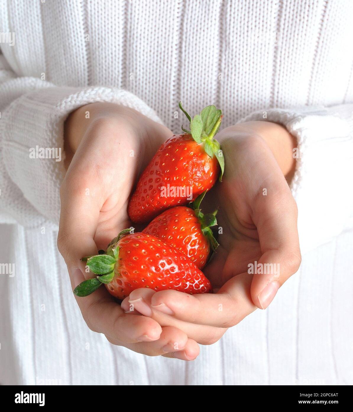 Strawberries in child's hands. The girl is holding strawberries in ...