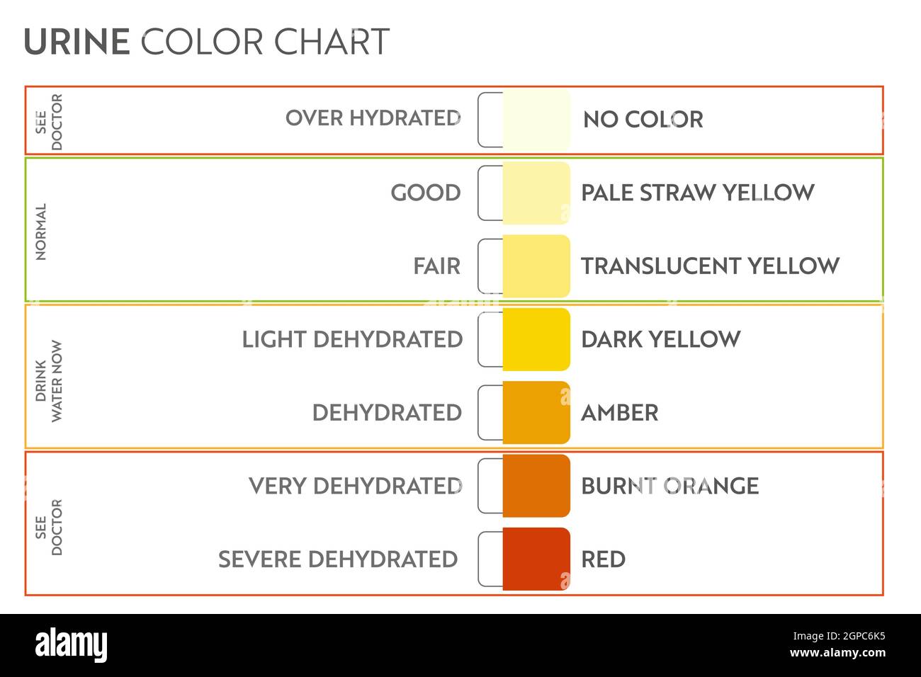 Urine color chart. Pee hydration and dehydration test strip. Vector ...