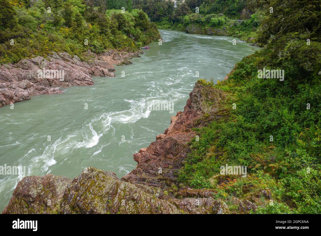 Scenery around the Buller River in the South Island of New Zealand ...