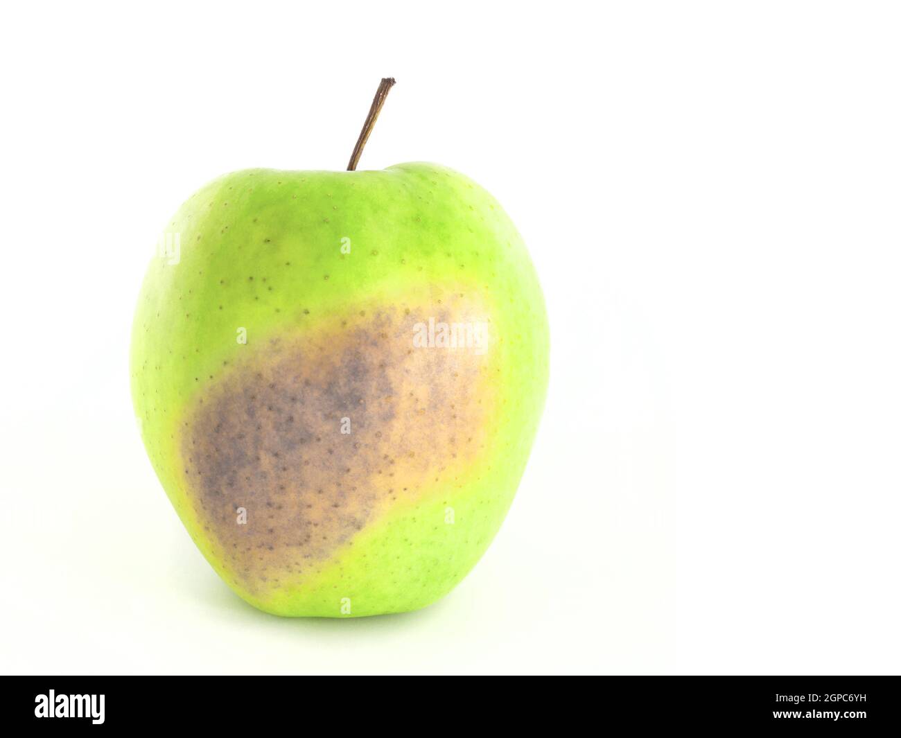 Rotten green apple on a white background Stock Photo - Alamy