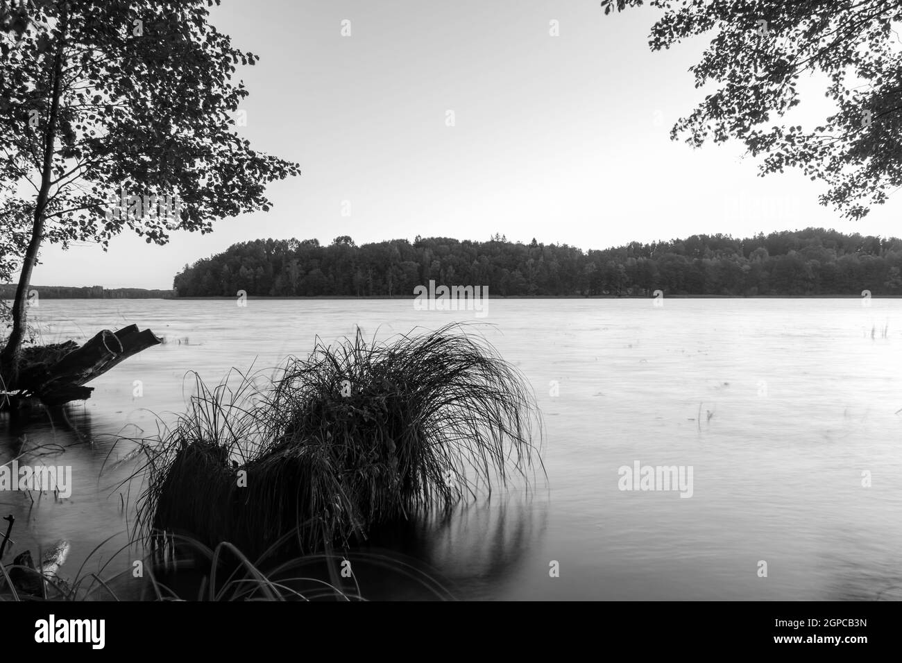 Shore lake reeds Black and White Stock Photos & Images - Alamy