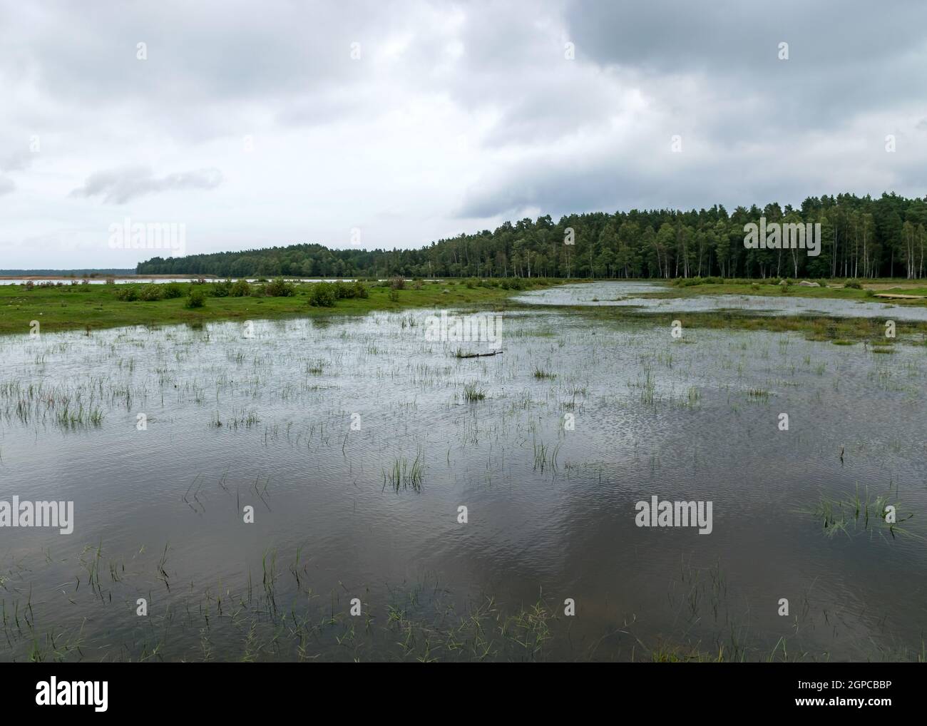 cloudy day, gray clouds, landscape with lake and reeds by the lake ...