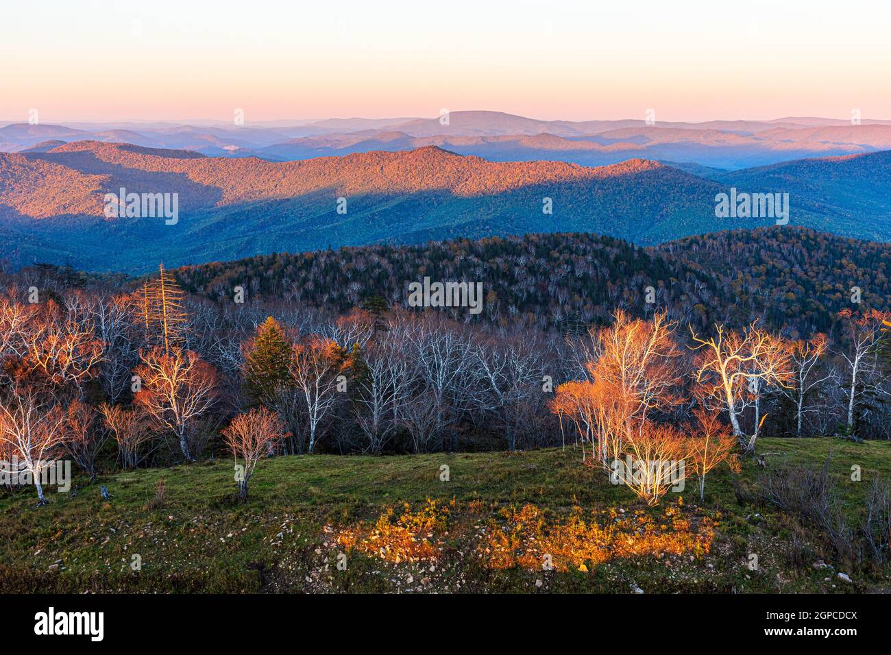 Lesser Hinggan Mountains