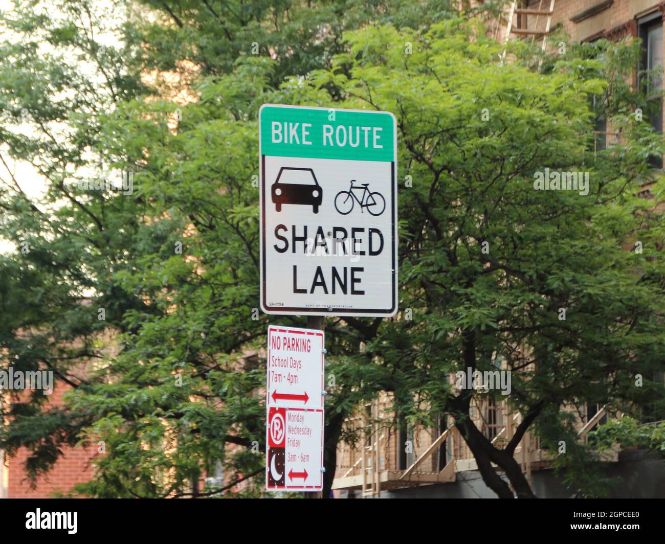 Shared Lane Traffic Sign in Manhattan New York Stock Photo - Alamy