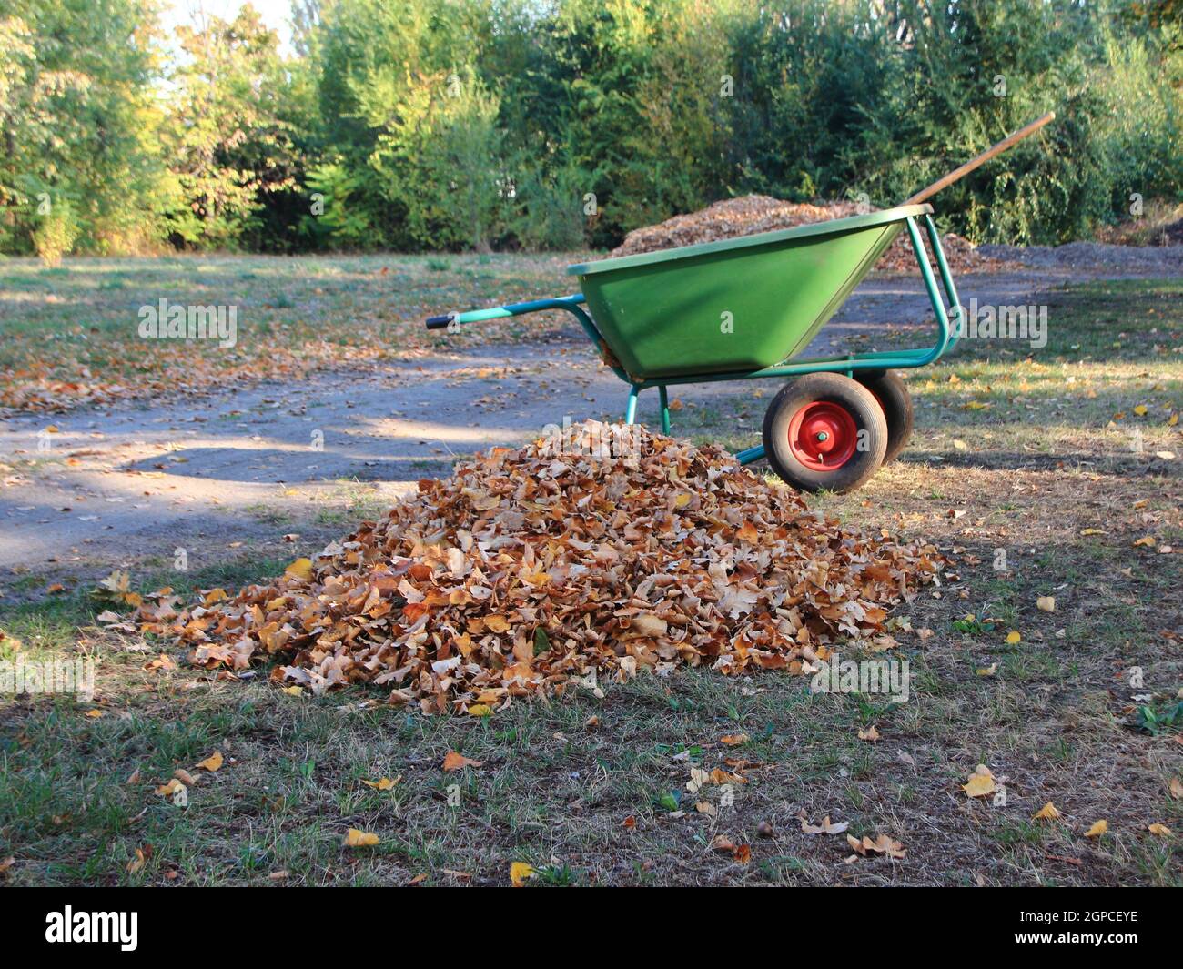 Green Wheelbarrow in Garden with Brown Dead Autumn Leaves Stock Photo ...