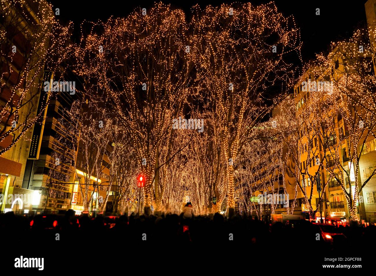 Sendai light of the pageant and the night view of Jozenji Street ...