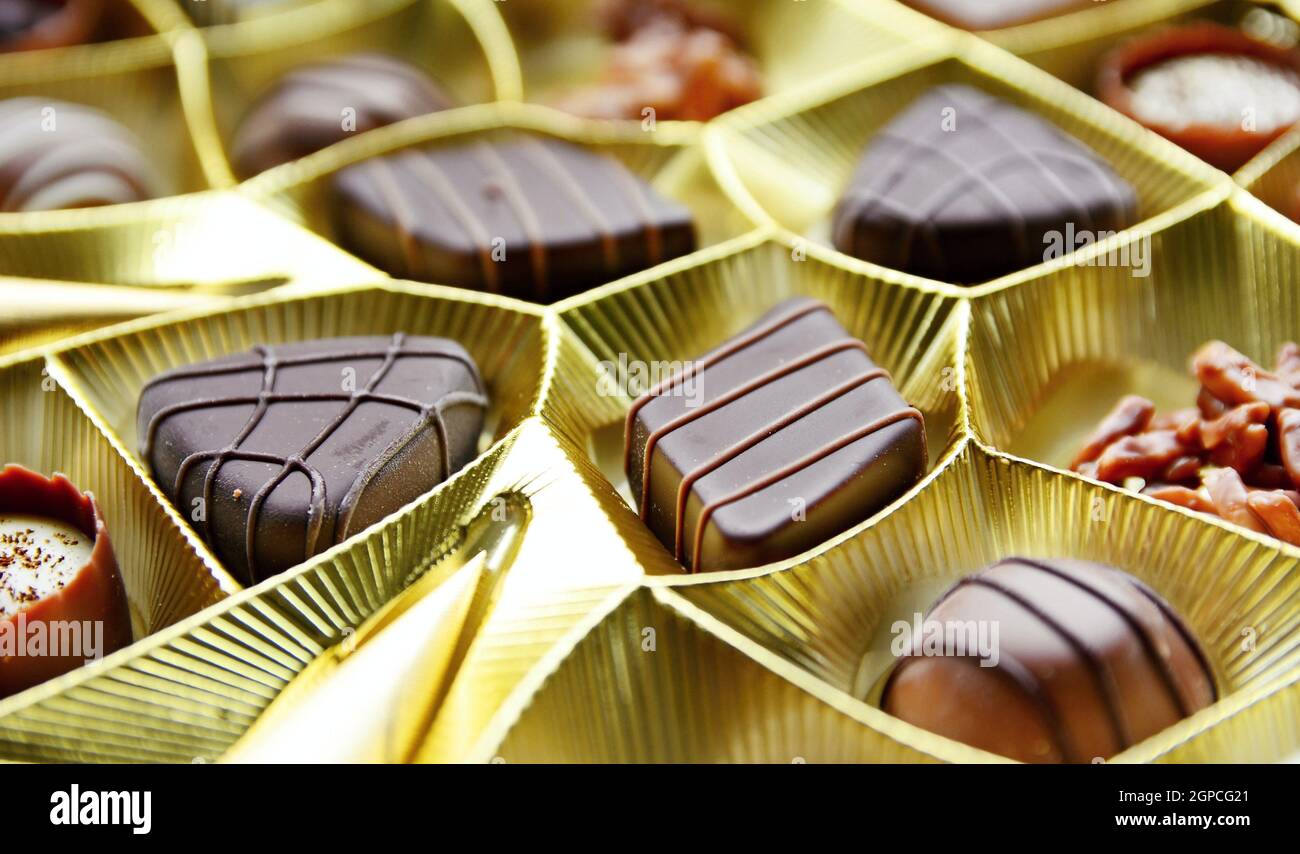Selection of fine milk and dark chocolate belgian pralines Stock Photo ...