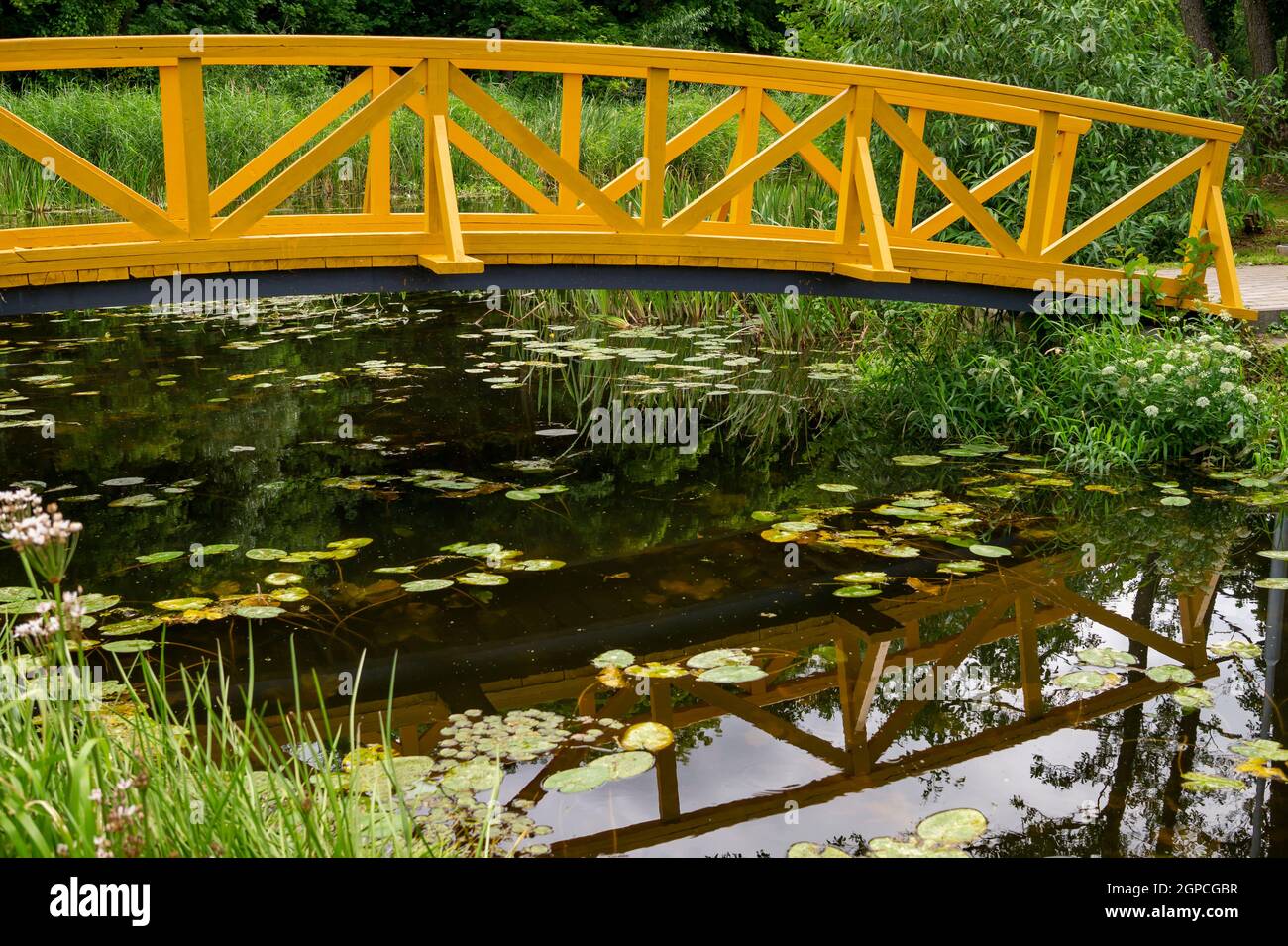 Arched wooden pedestrian bridge curving away and reflections in pond ...