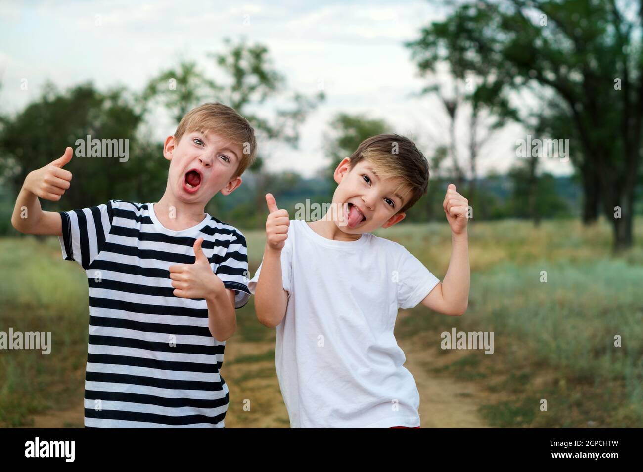 Surprised kids scream against countryside background. Two brothers ...