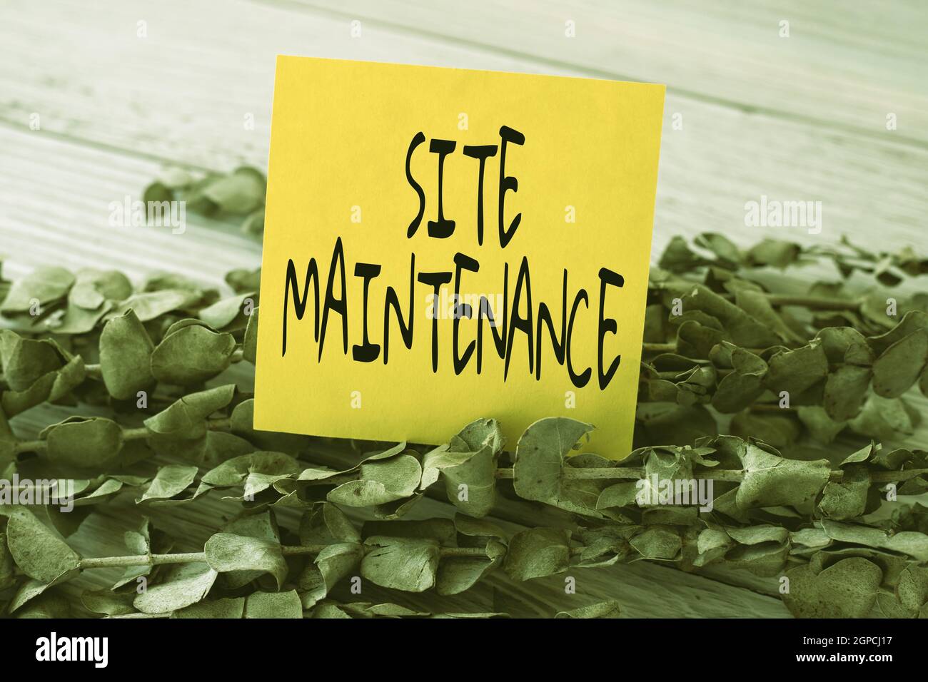 Sign displaying Site Maintenance. Business idea keeping the website ...