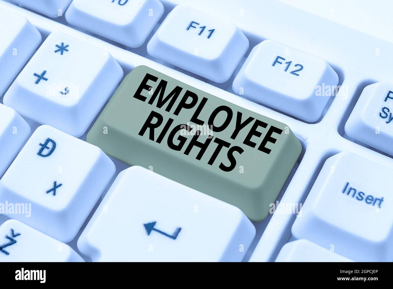 Hand writing sign Employee Rights. Internet Concept All employees have ...