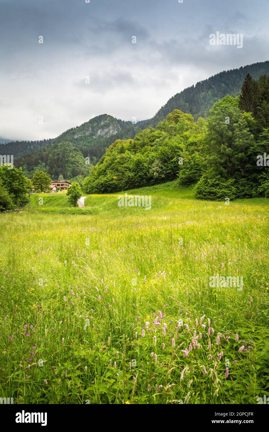 Panoramic natural landscapes with house. Wide-open spaces. Collio ...
