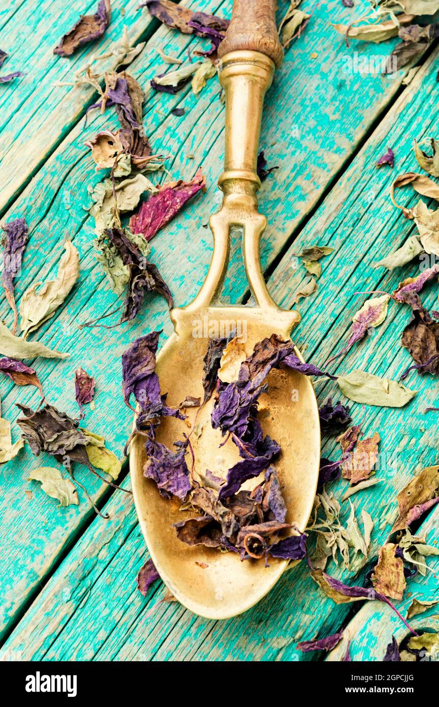 Dried natural basil spice in spoon.Natural dried herbs Stock Photo - Alamy