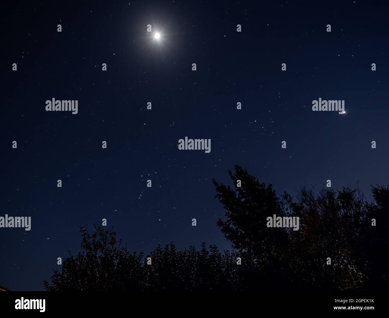 Orion And Pleiades Constellation