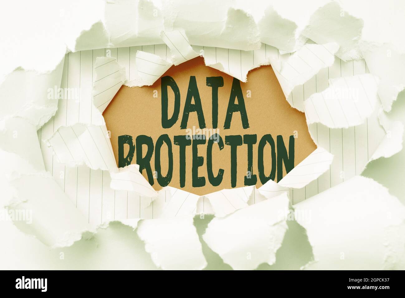 Text showing inspiration Data Protection. Word Written on Protect IP ...