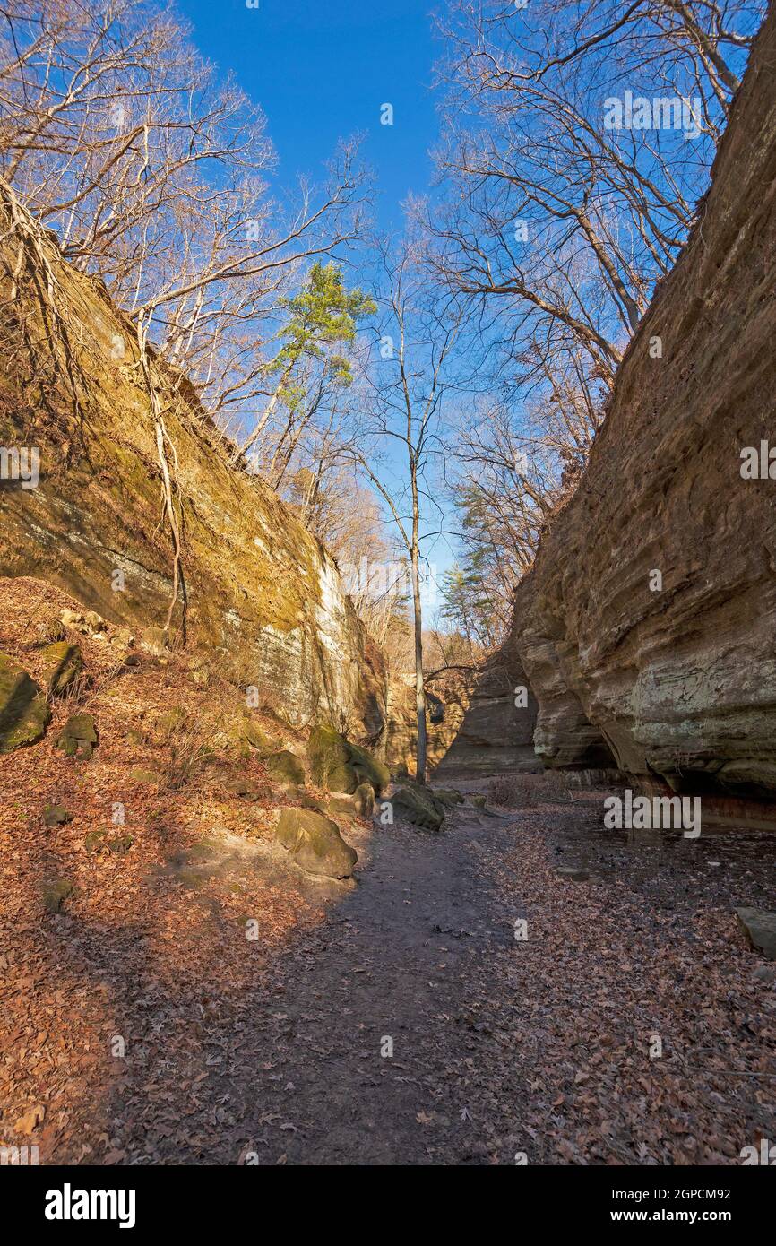 Sun and Shade in a Sandstone Canyon in Matthiessen State Park in ...
