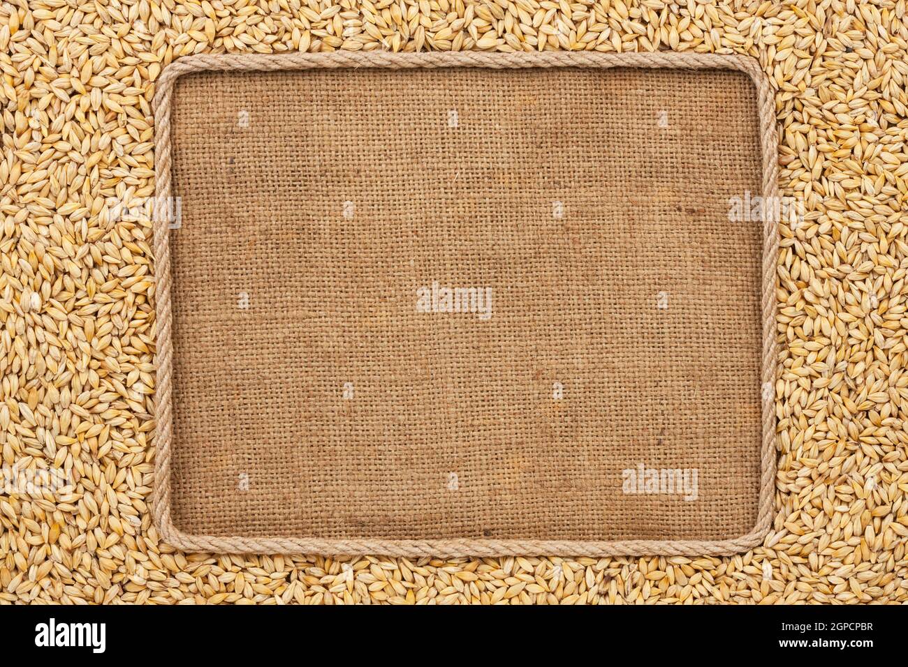 Barley grains textured background hi-res stock photography and images ...
