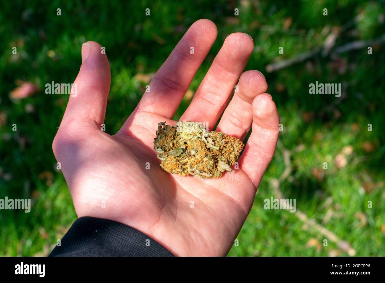 Lawn chemical hi-res stock photography and images - Alamy