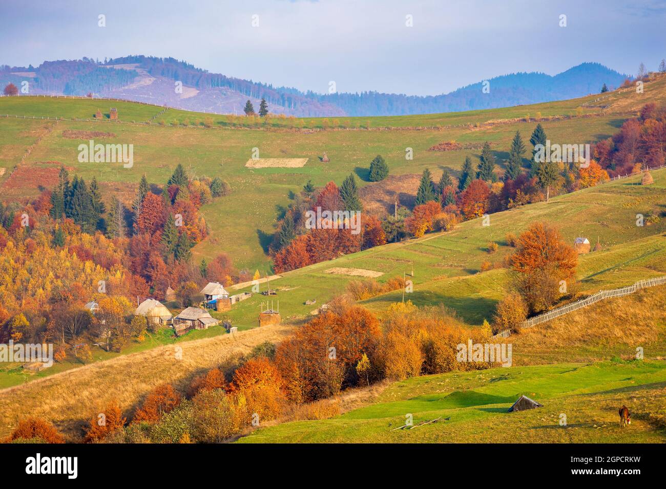 morning rural scenery in autumn season. landscape with rolling hills ...