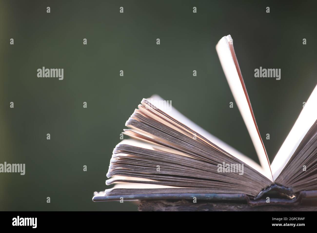 Literature, reading concept: old open book Stock Photo - Alamy