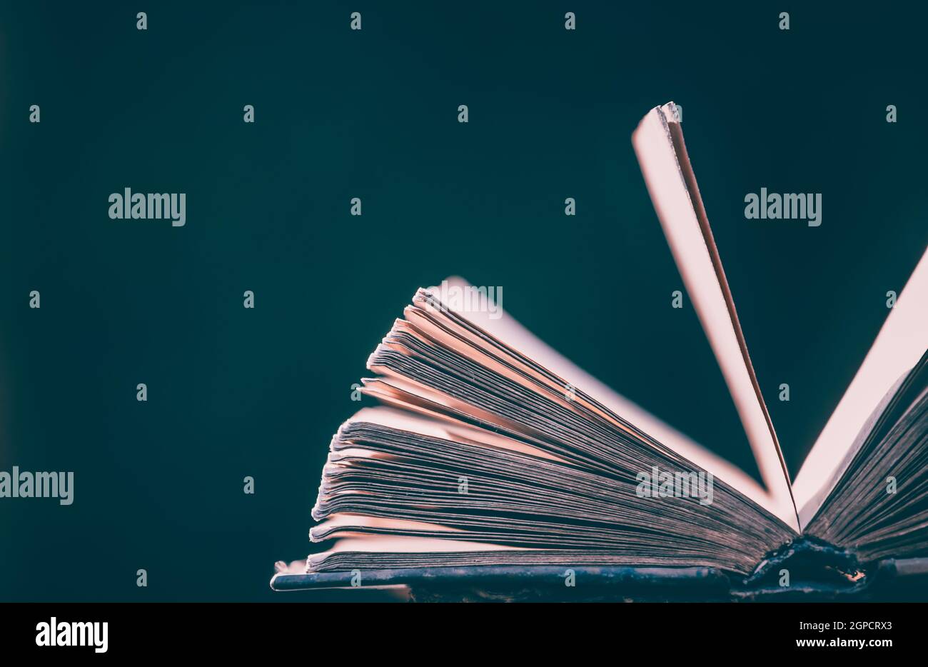 Literature, reading concept: old open book Stock Photo - Alamy