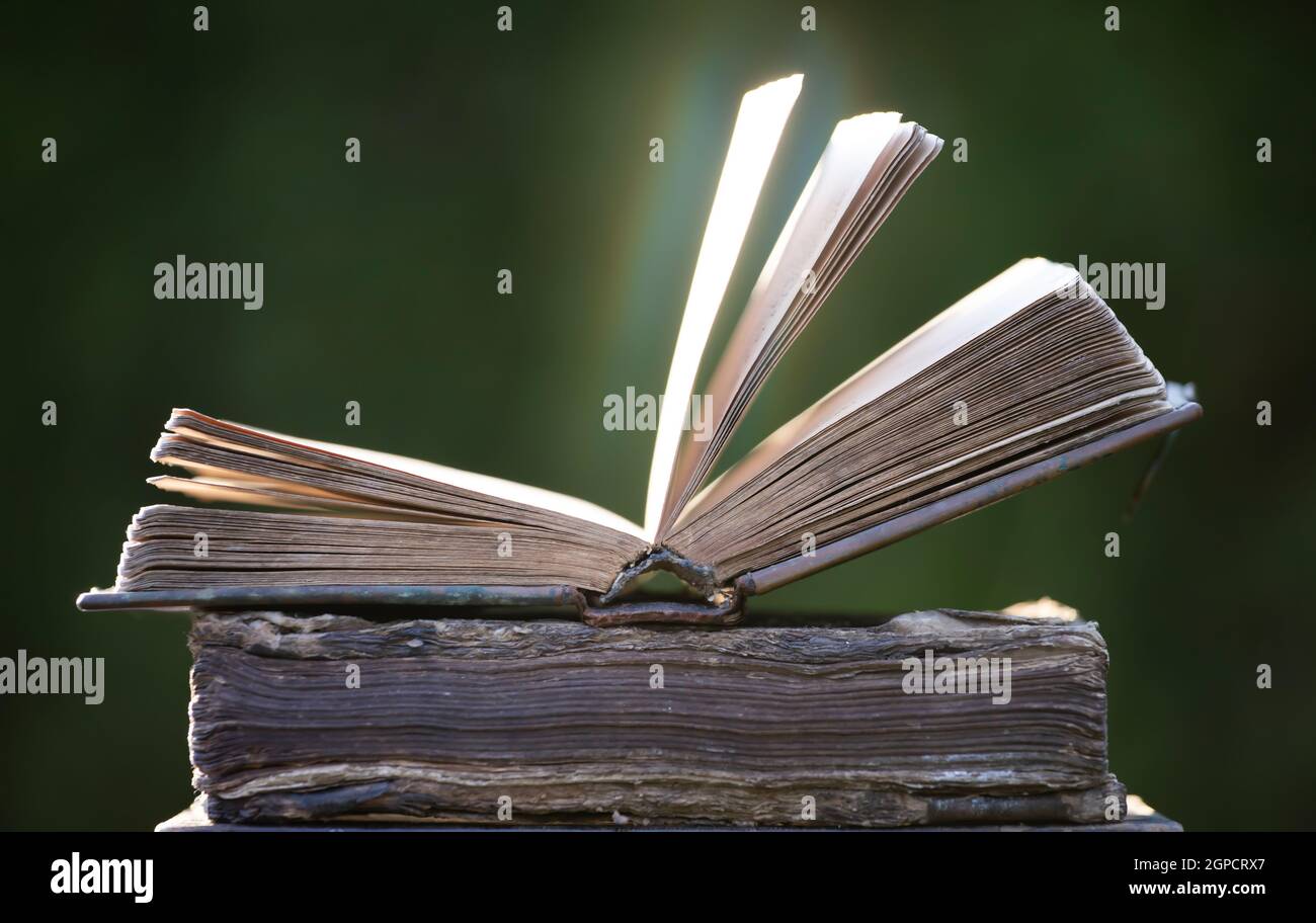 Literature, reading concept: old open book Stock Photo - Alamy