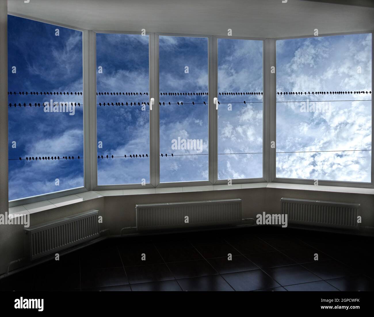 Window with view to row of birds sitting on electric wires against ...