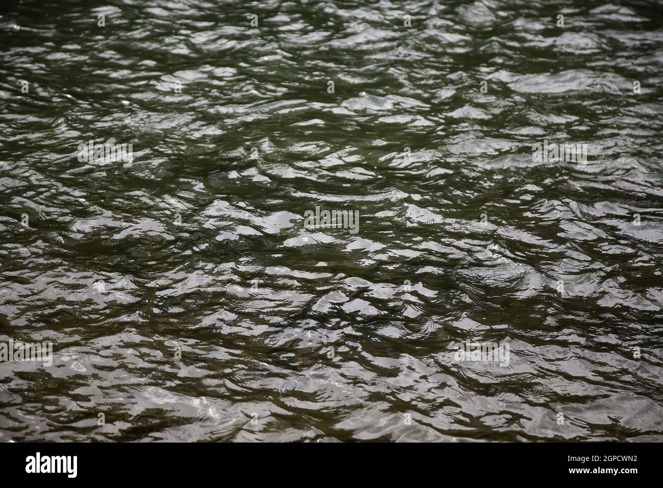 Detail of salt water offshore, nature Stock Photo - Alamy