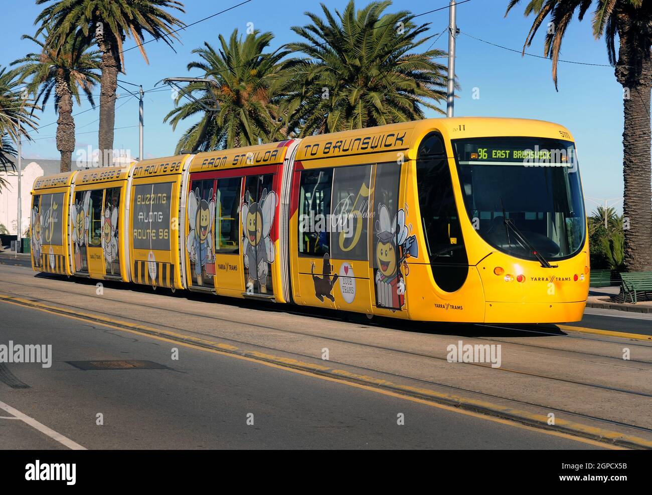 Public Transport Victoria Bumble bee tram travels through St Kilda in ...